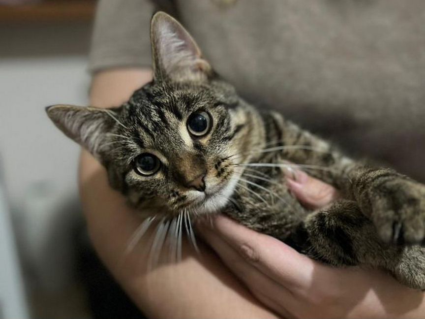 Захар в добрые руки, 5 мес