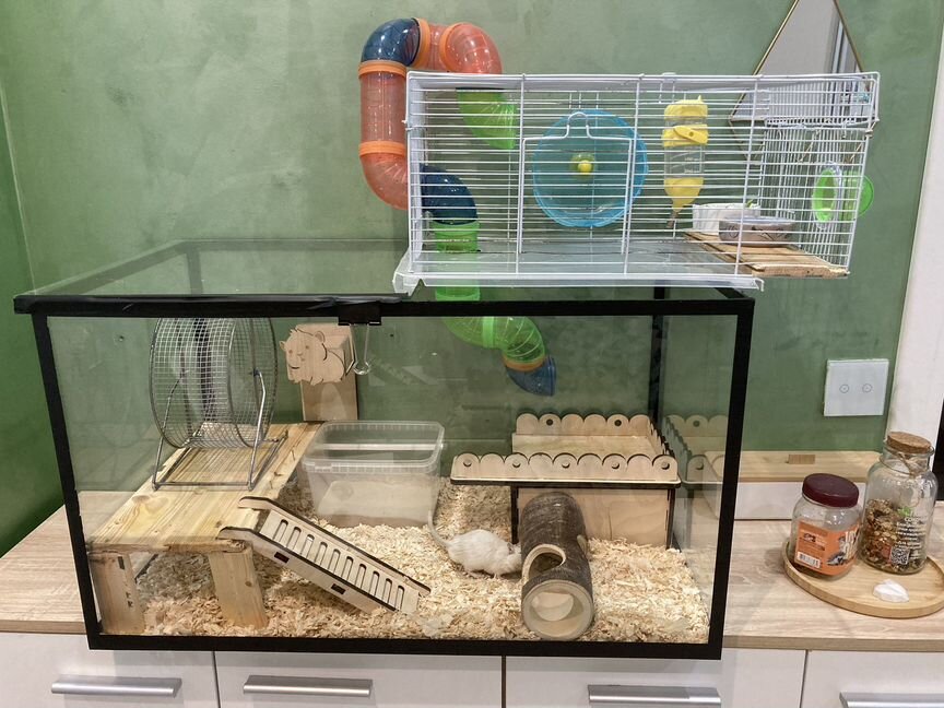 Аквариум для грызунов, мышки