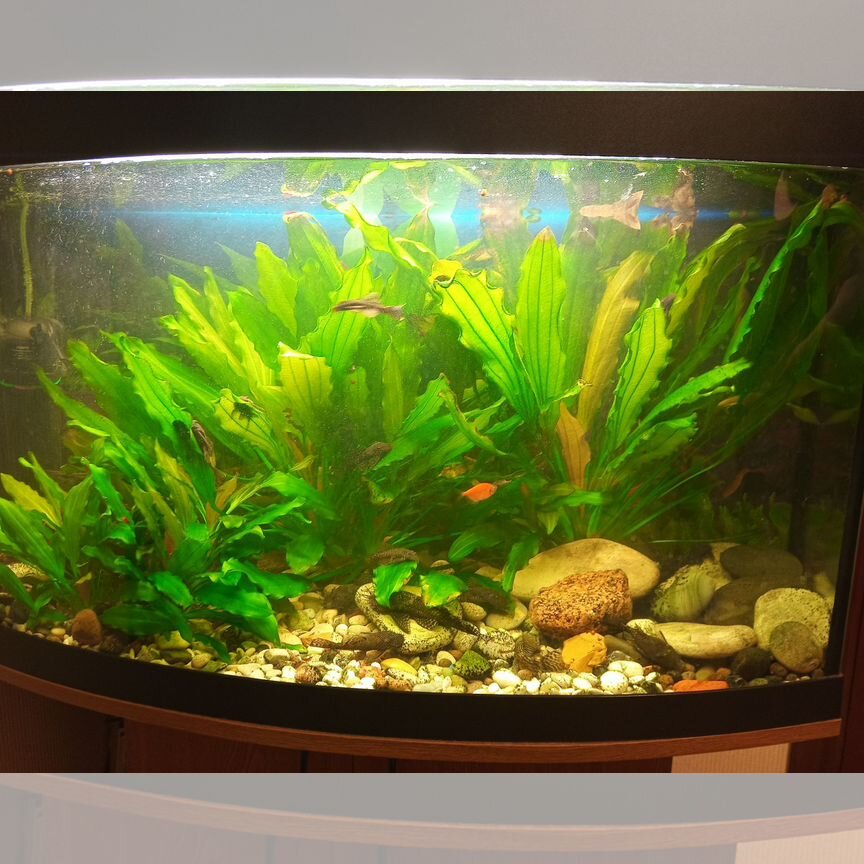 Аквариум с тумбой бу