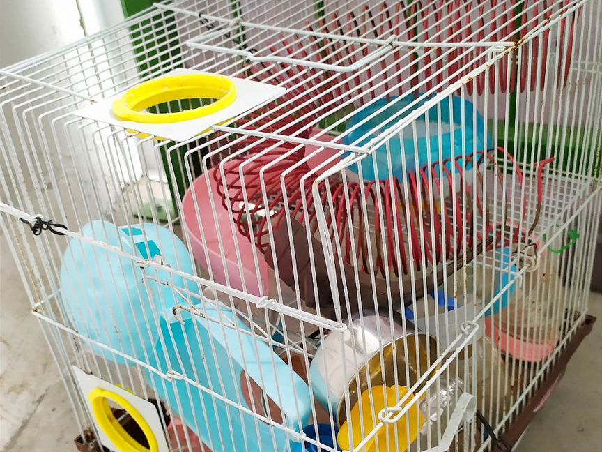Клетка для грызунов большая