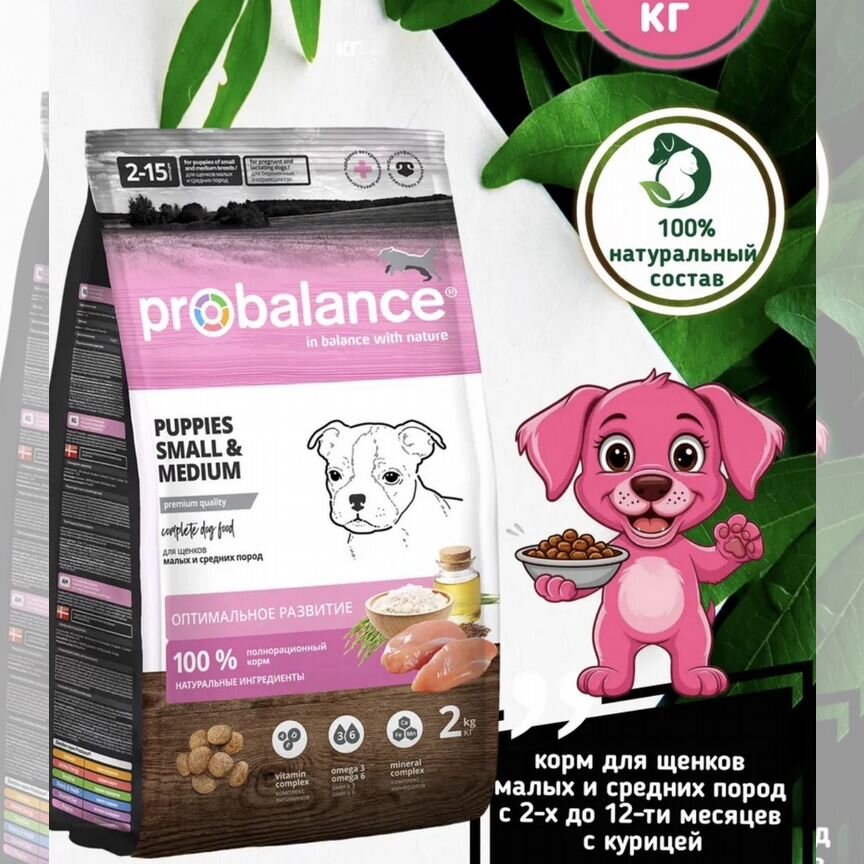 Корм для собак