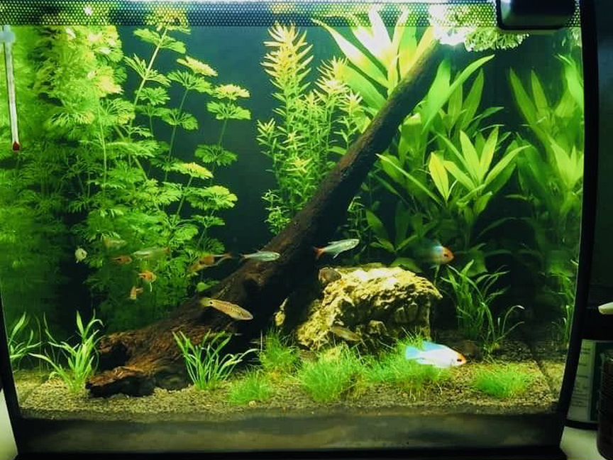 Аквариум fluval 34 л
