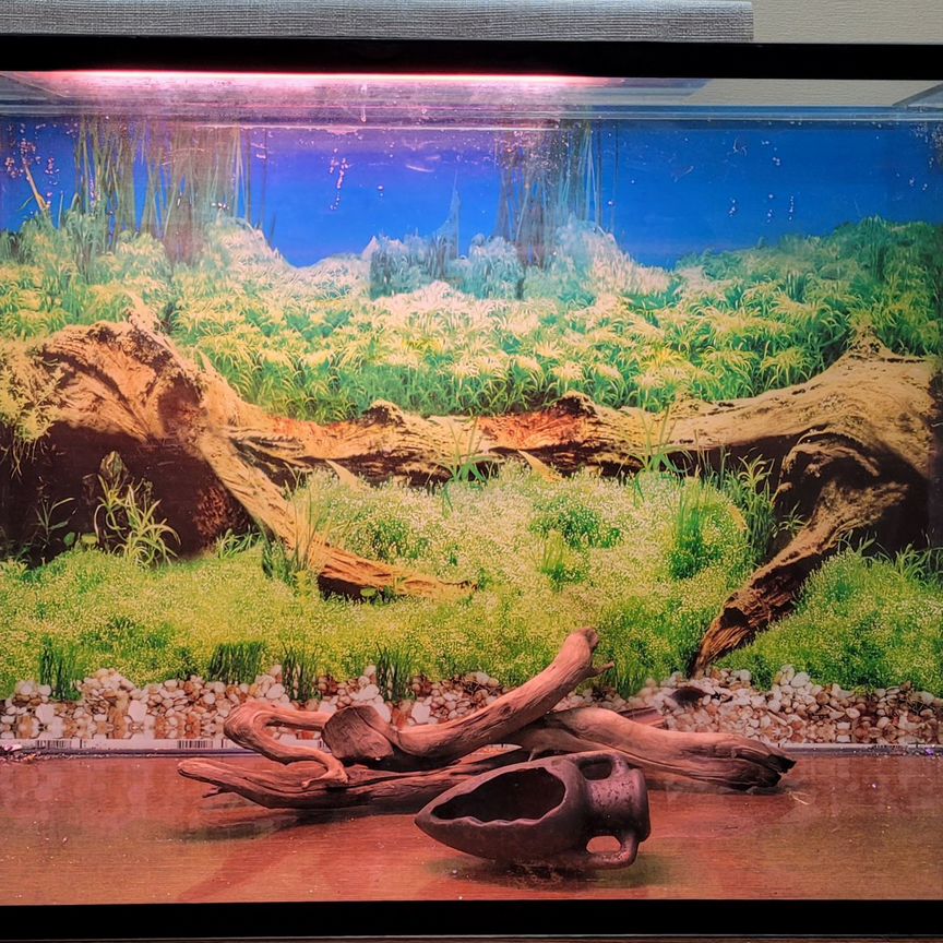 Аквариум 100 л с оборудованием