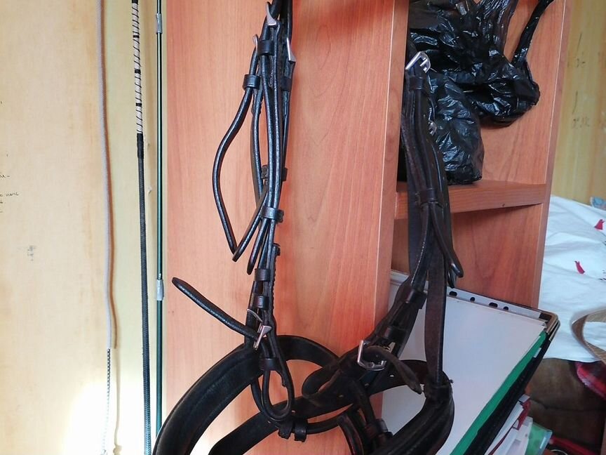 Оголовье для лошади