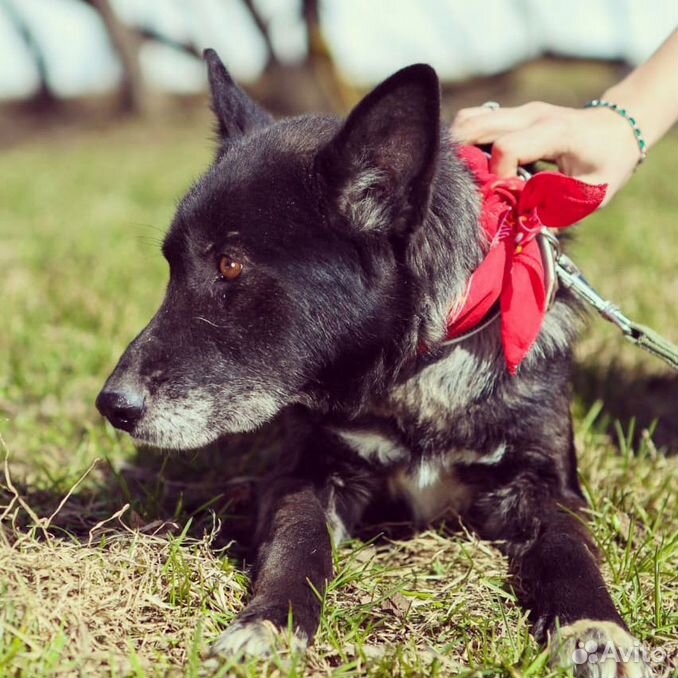 Наоми очень хочет домой