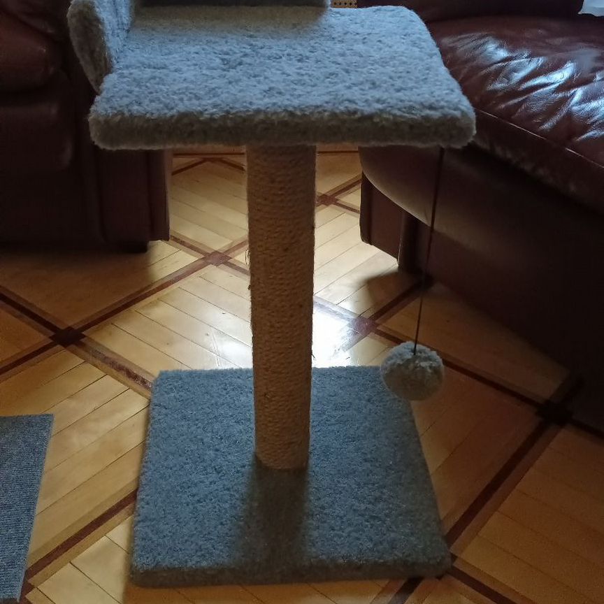Когтеточка для котенка и небольшого котика