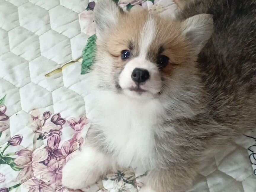 Мальчик и девочка