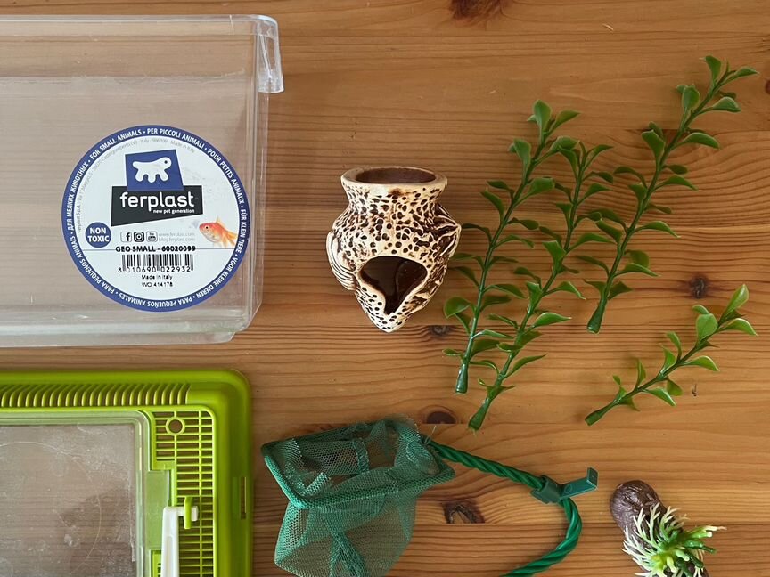 Всё для рыбки (переноска, украшения, сачок)