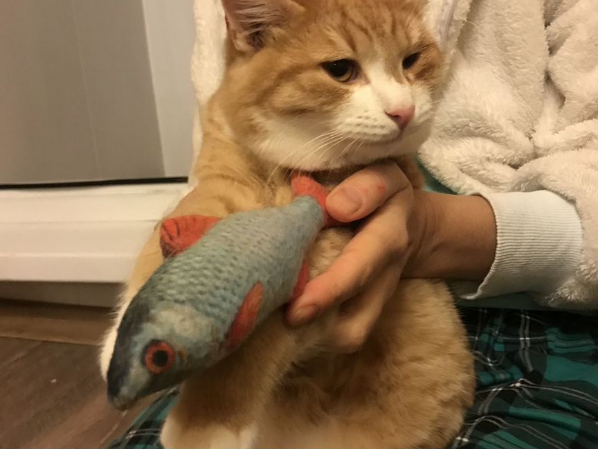 Юный рыболов