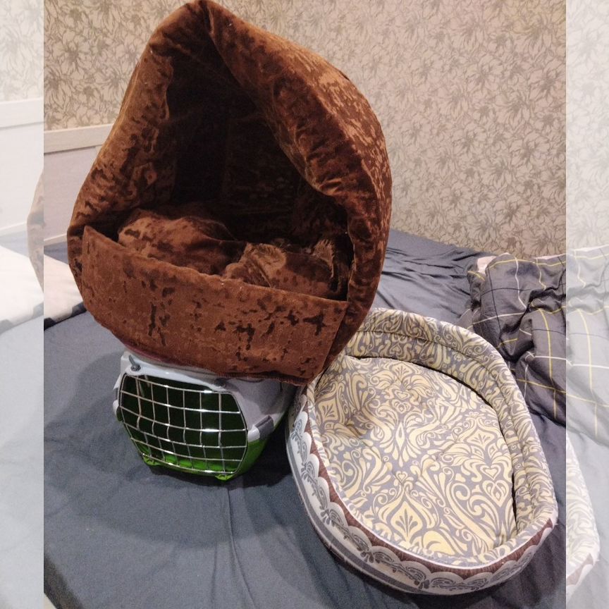 Переноска, домик и лежанка