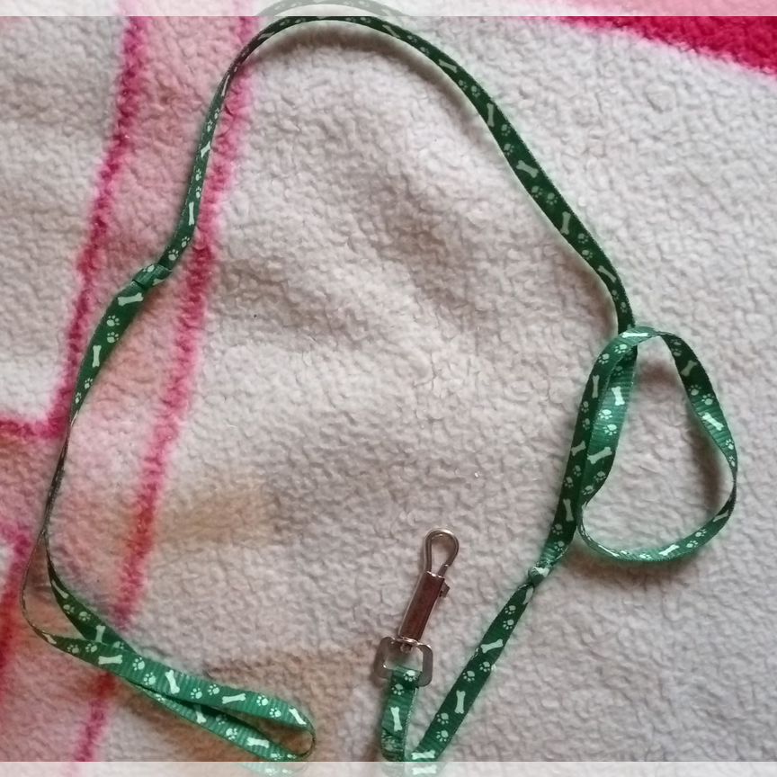 Поводок для животных