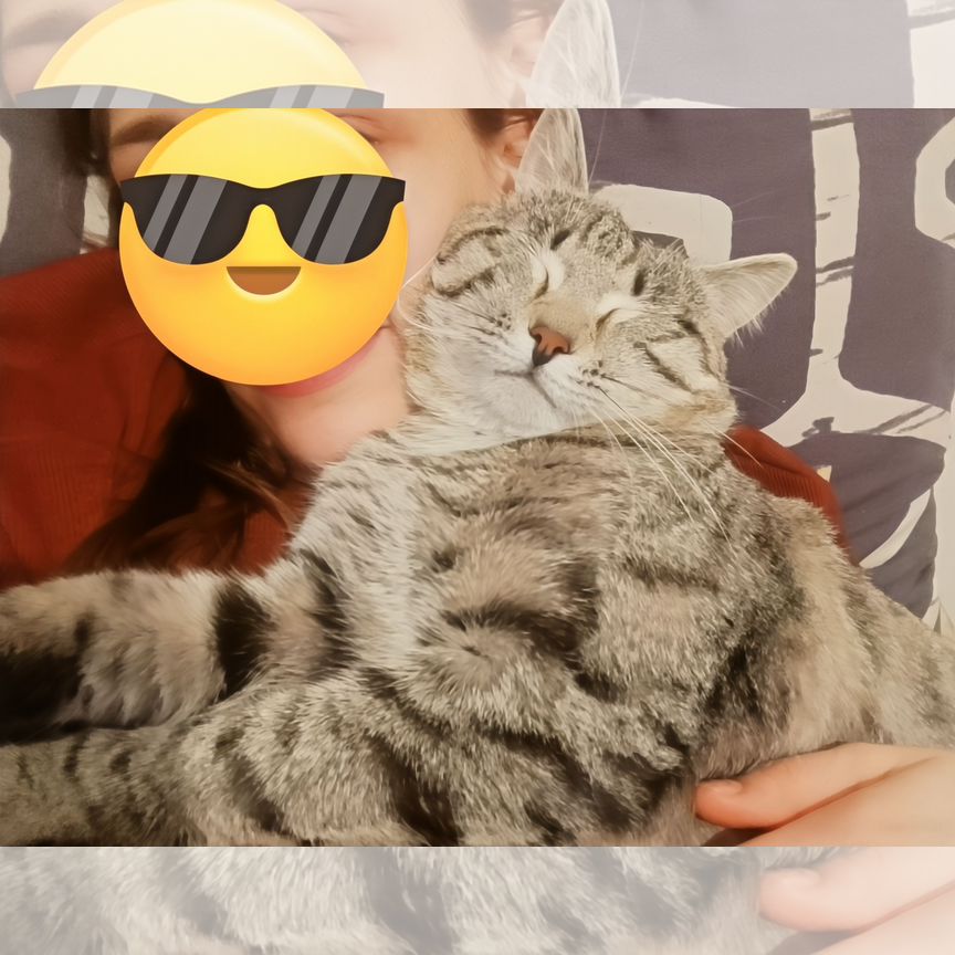 Взрослый кот в добрые руки