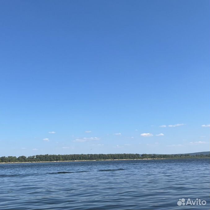 Продам или обменяю молодых петушков на курочек