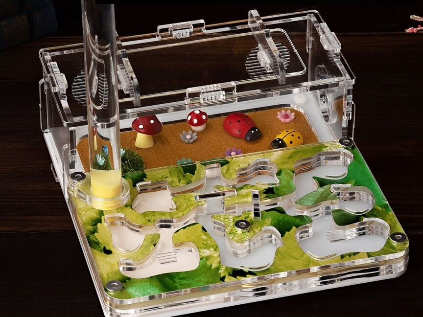 Муравьиная Ферма Мини + Формикарий с гипсом