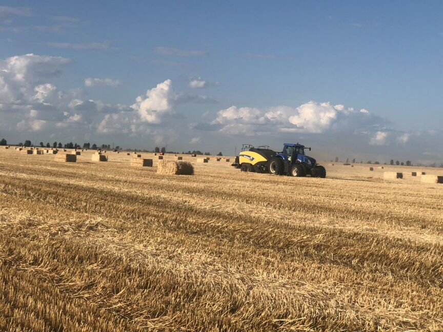 Сено Солома