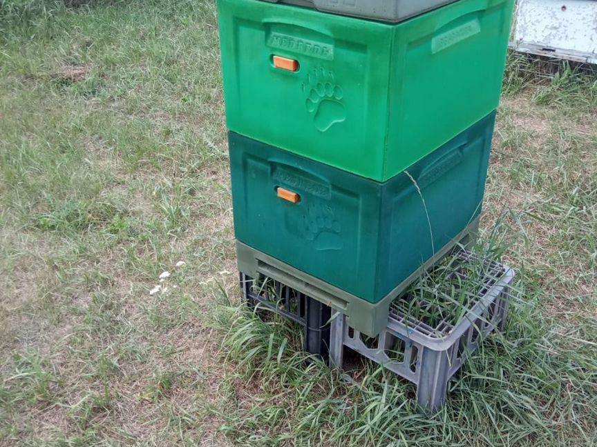 Улий для пчел