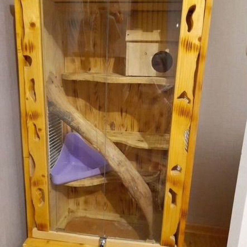 Витрина для шиншилл