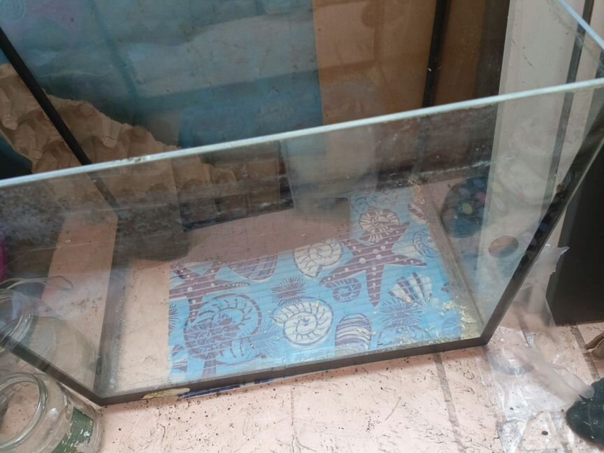 Аквариум и все для аквариума