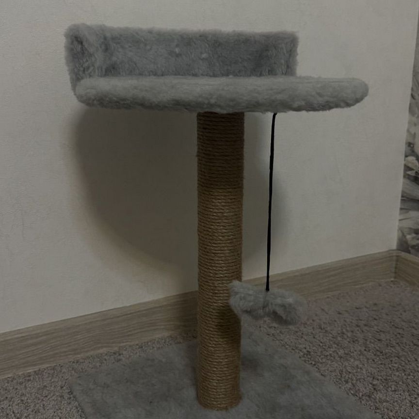 Когтеточка