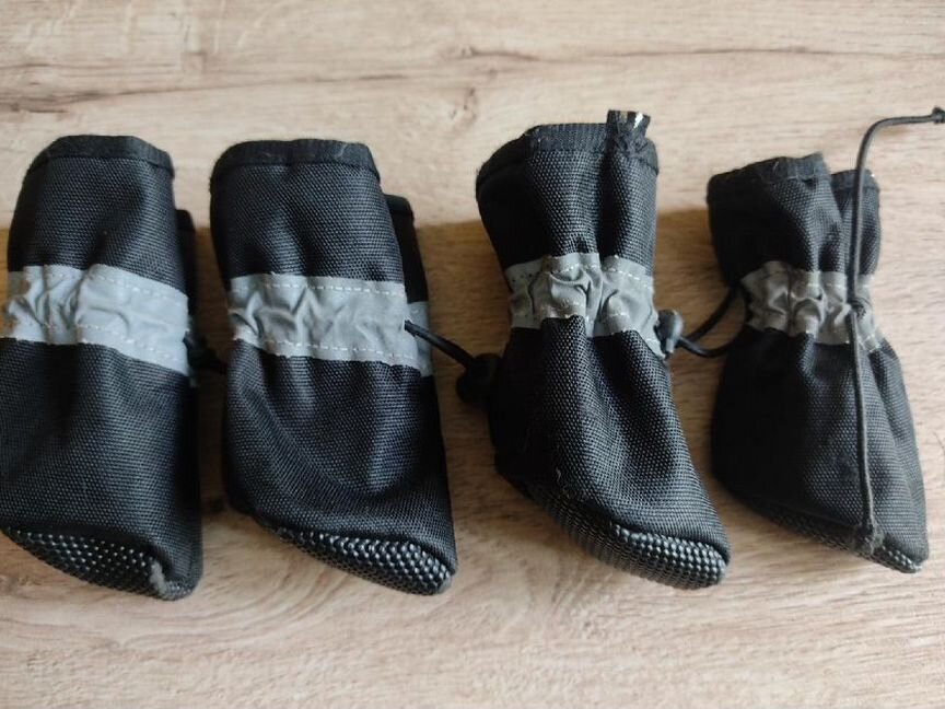 Обувь для собак