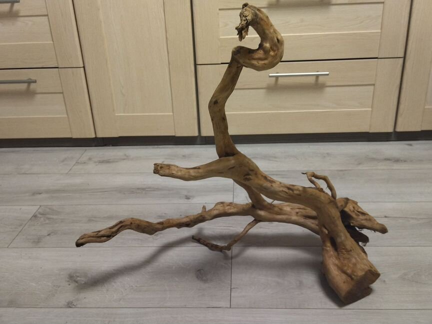 Коряга из корня винограда