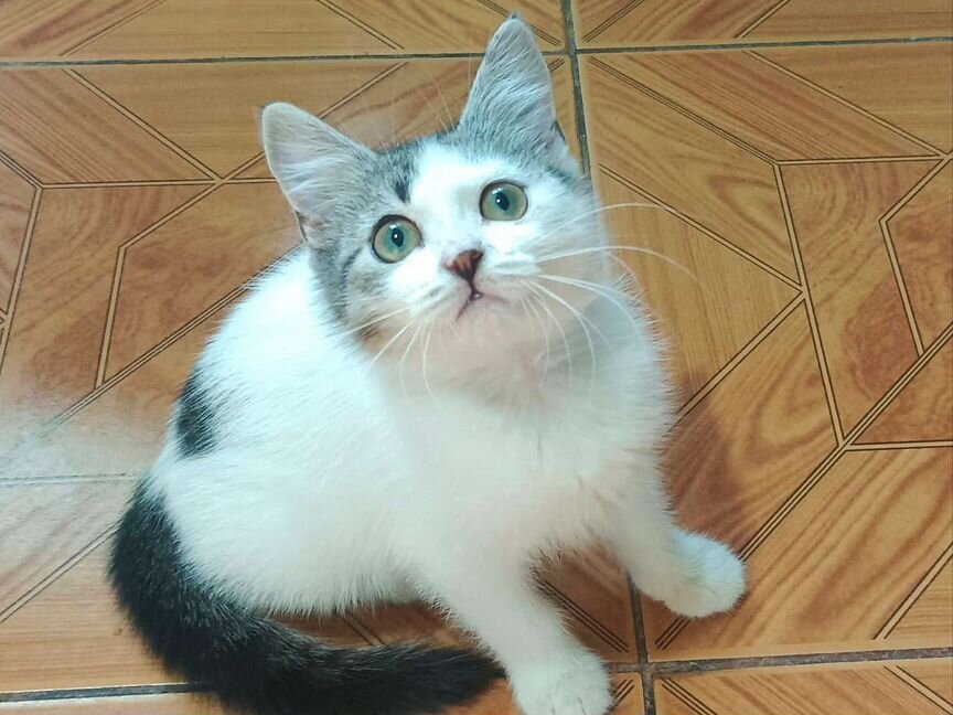 Машуня ищет семью