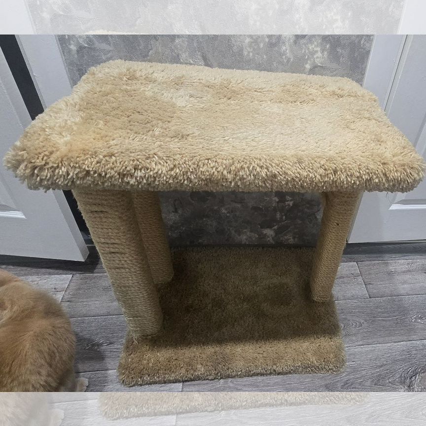 Когтеточка