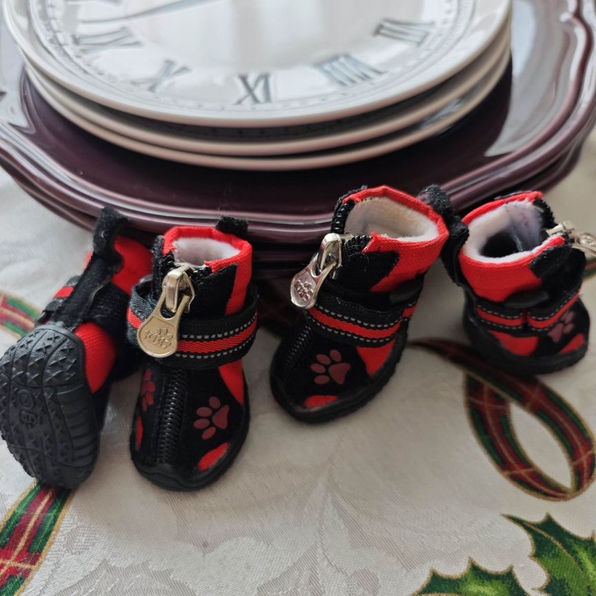 Ботинки для маленьких собак