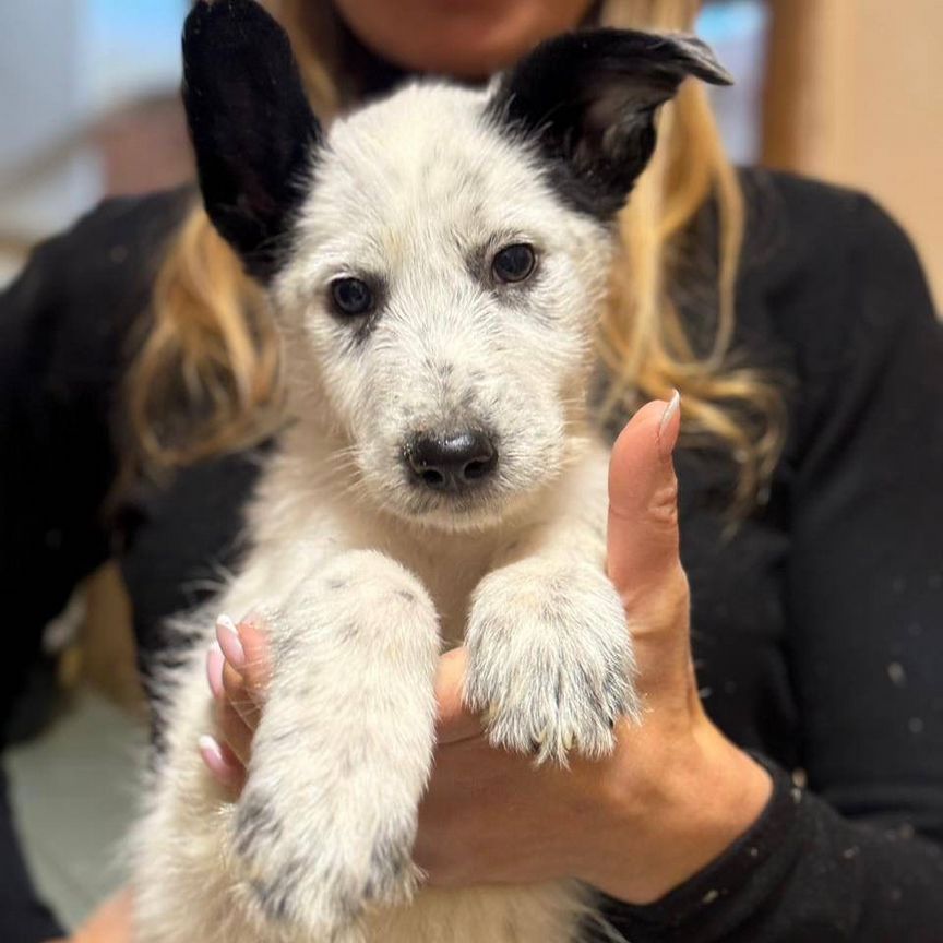 Эту малышку выбросили как ненужную вещь