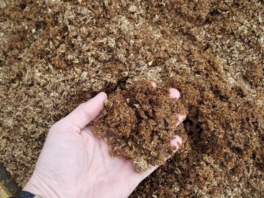 Пивная дробина