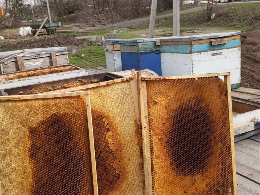 Улей для пчел бу