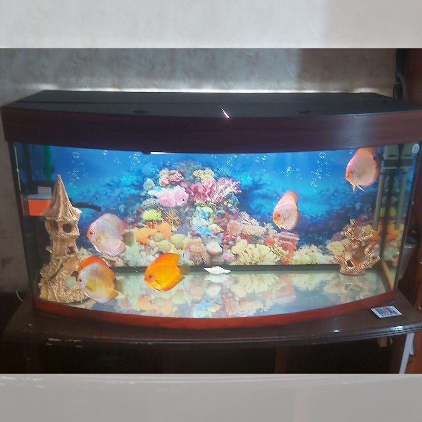 Аквариум с тумбой 400 литров