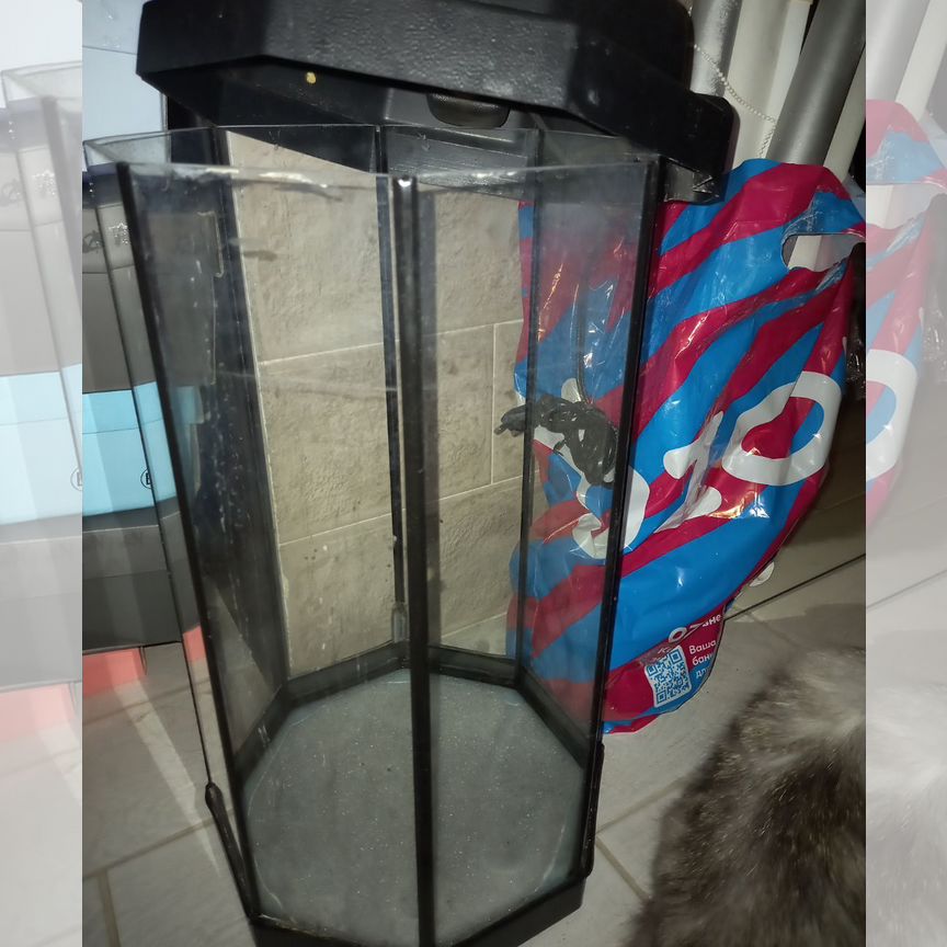 Аквариум большой