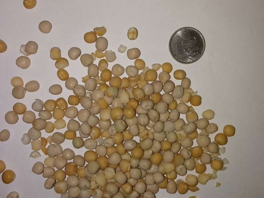 Горох в мешках