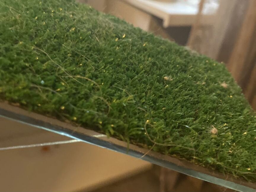 Плот для черепахи