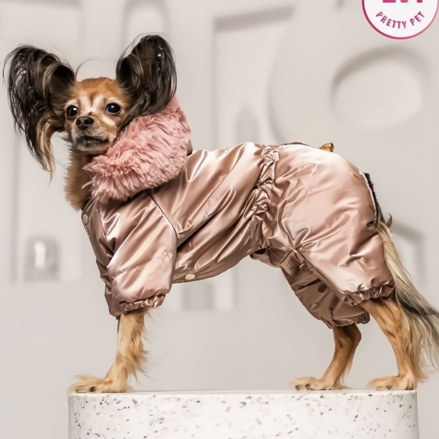 Одежда для собак мелких пород зима