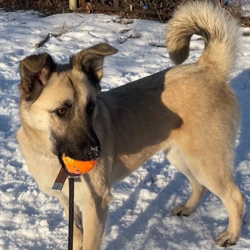 Добрая девчонка нуждается в любящей семье