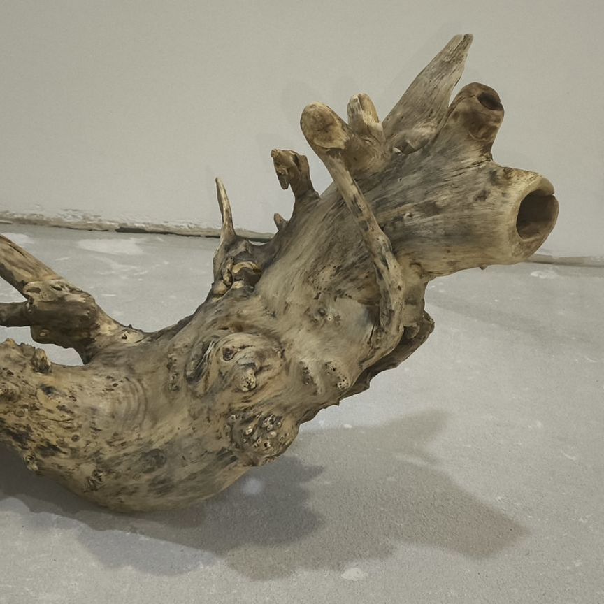 Коряга для аквариума акваскейпа