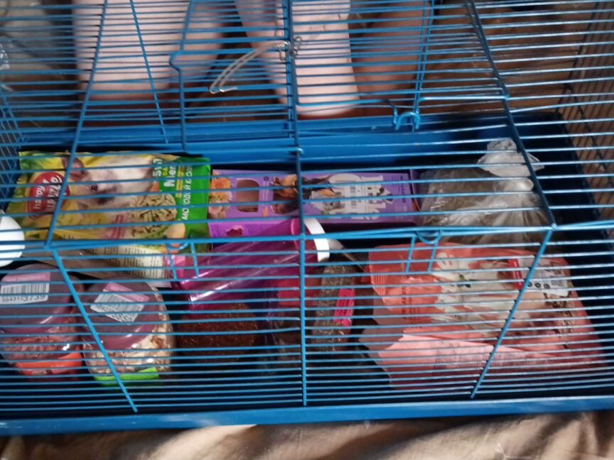 Клетка для грызунов