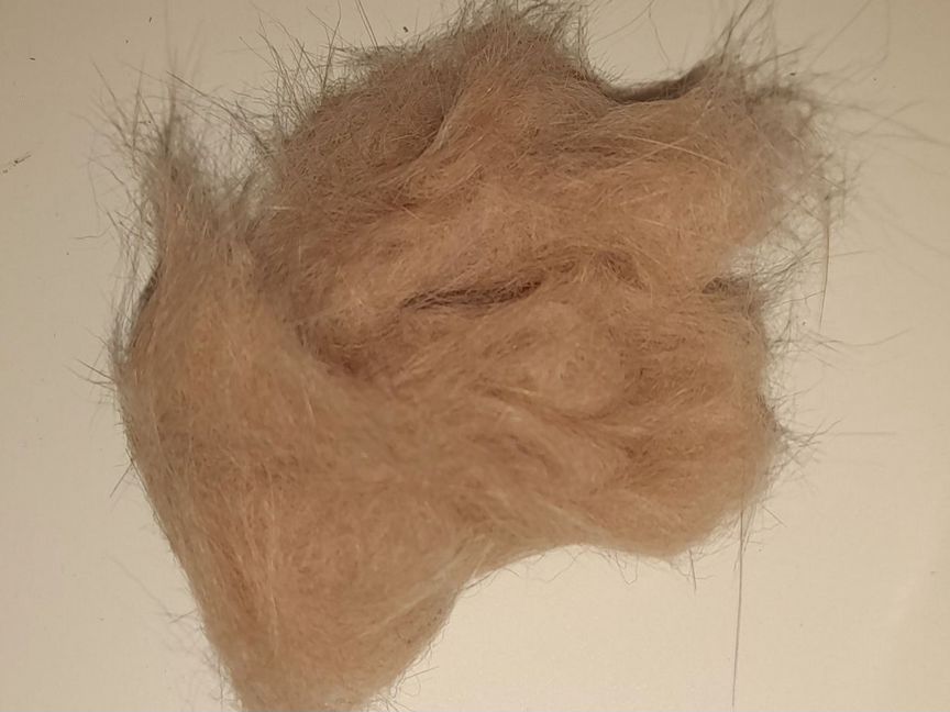 Кошачья шерсть