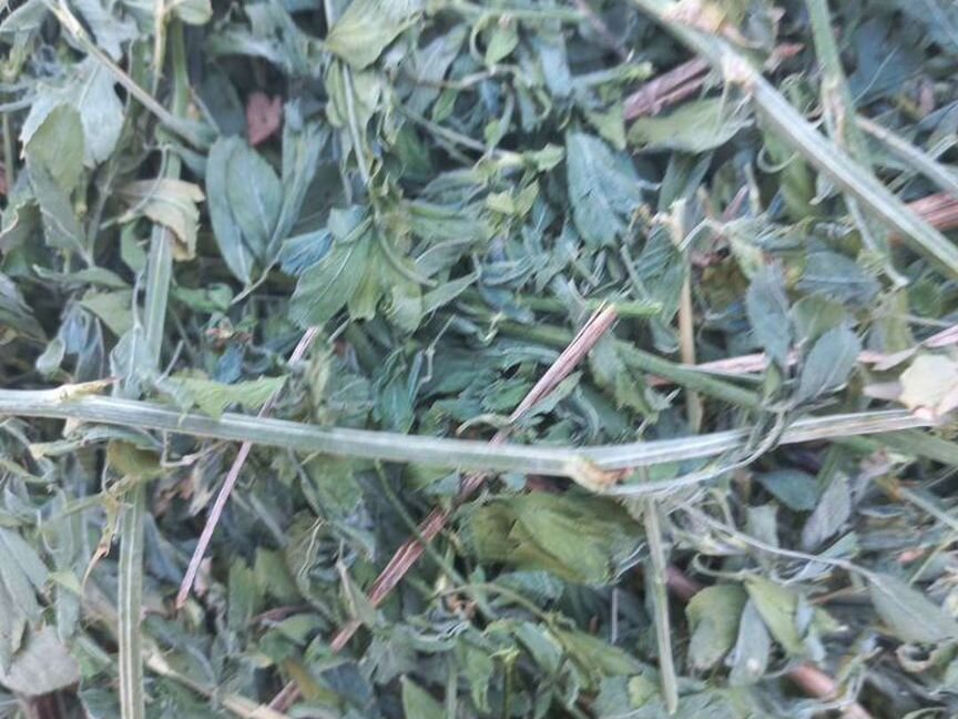 Сено луговое и люцерна,высшей категории