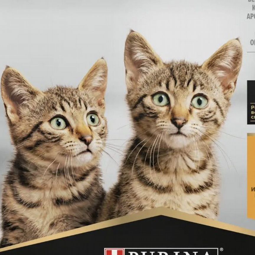 Корм для котят до года проплан