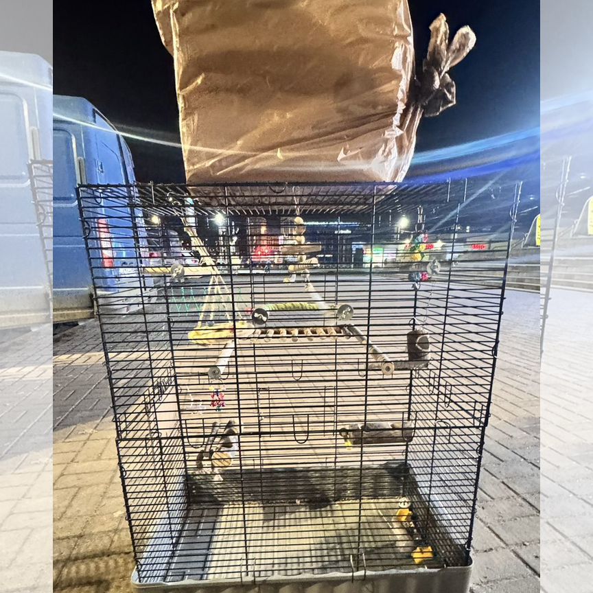 Клетки большие