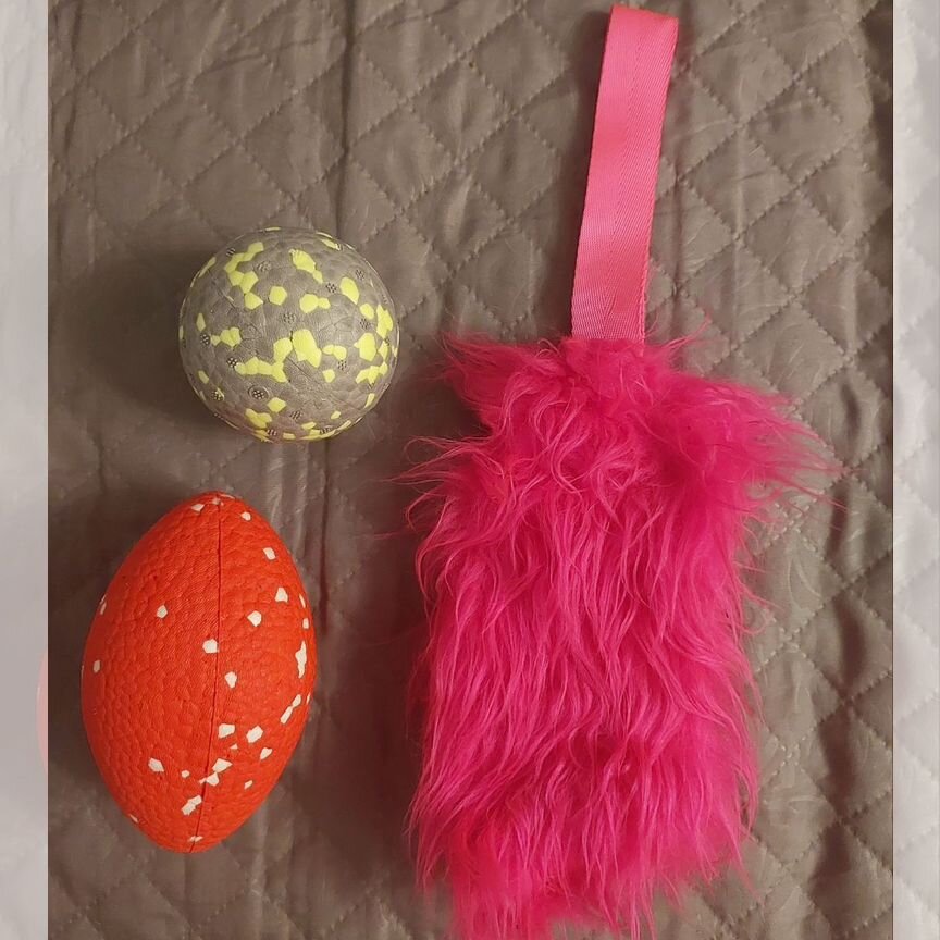 Игрушки для собак