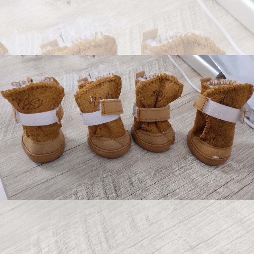 Зимняя обувь для собак маленьких пород