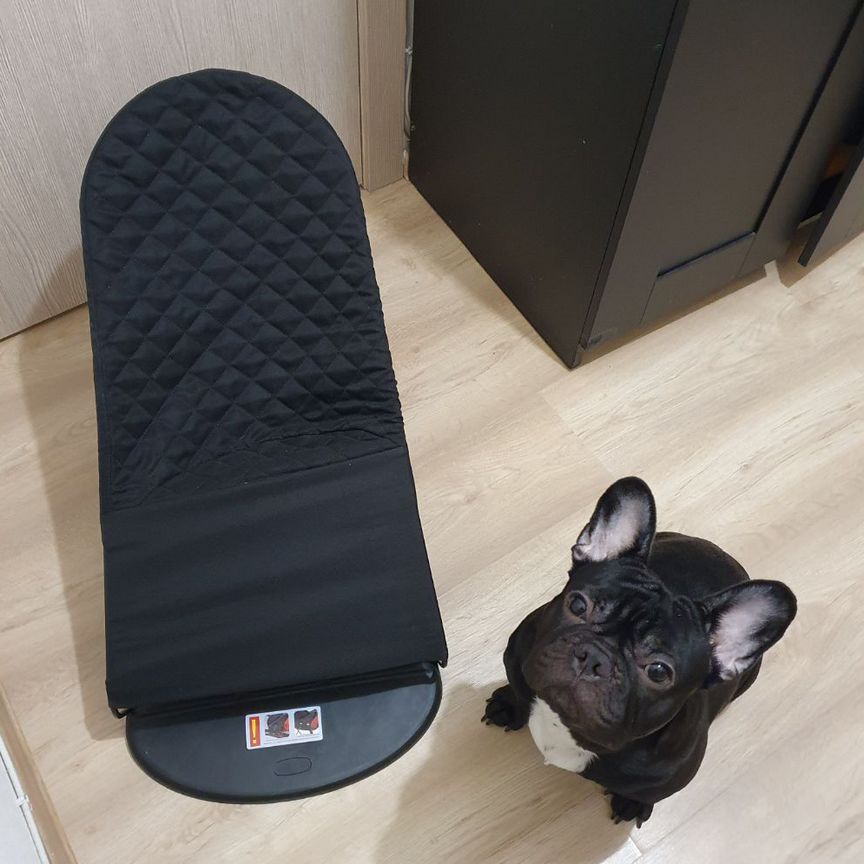 Лежанка, шезлонг для собак