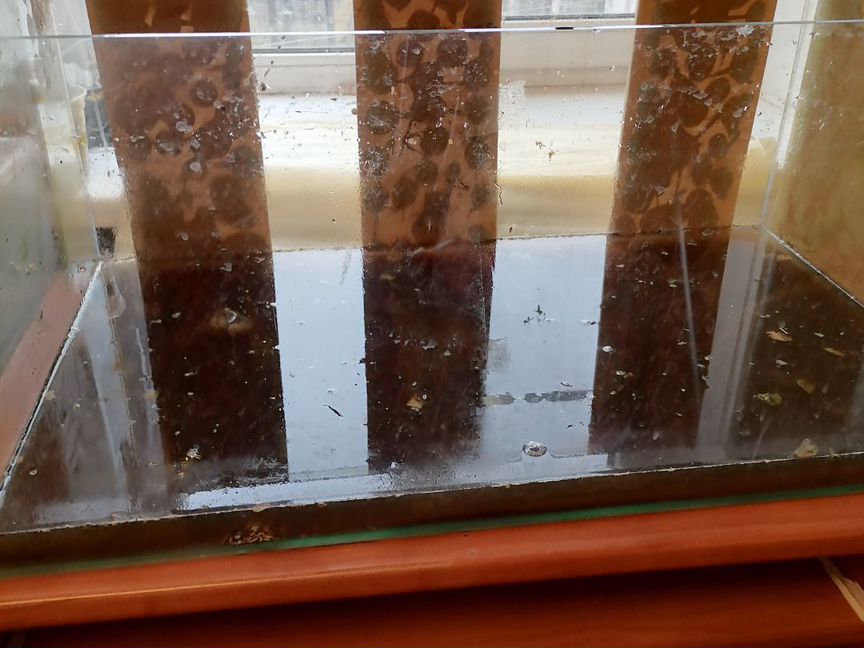 Аквариум большой, грунт, фон