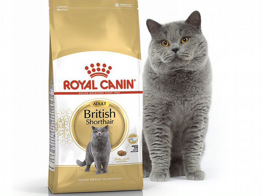 Royal Canin British Shorthair Adult 13 кг