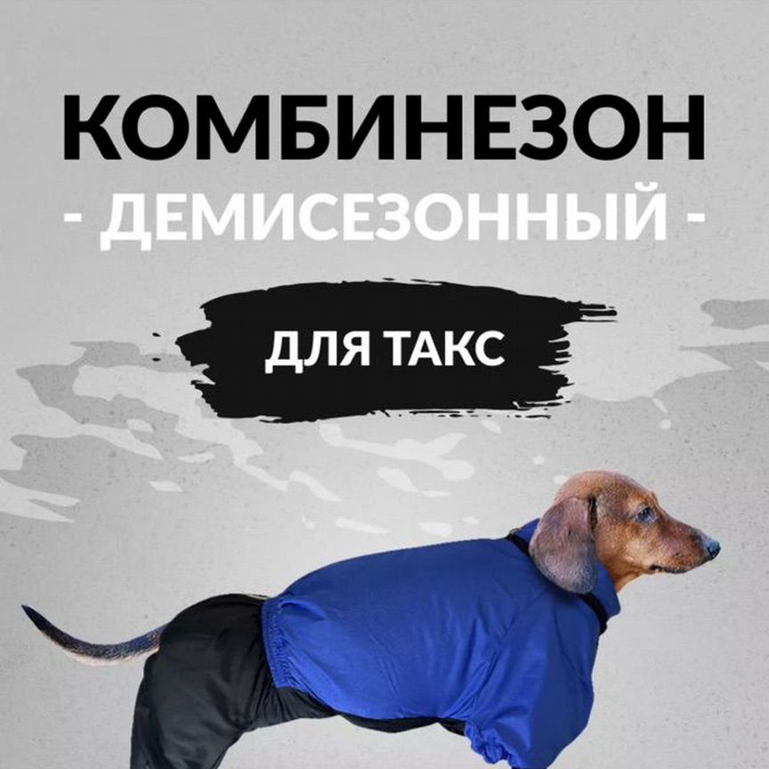 Комбенизон для таксы