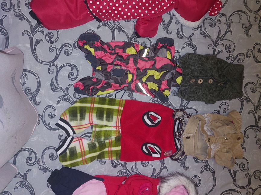 Одежда для собак мелких пород пакетом